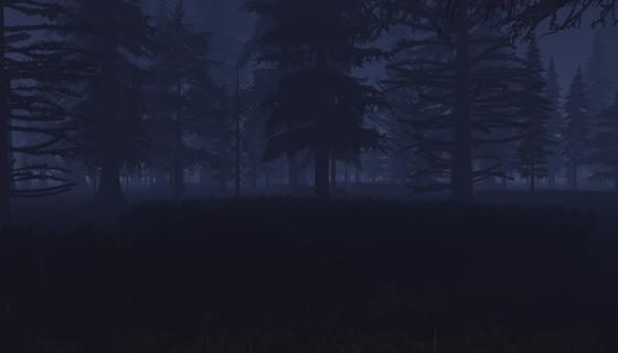 Forest - UGC - Halo Infinite